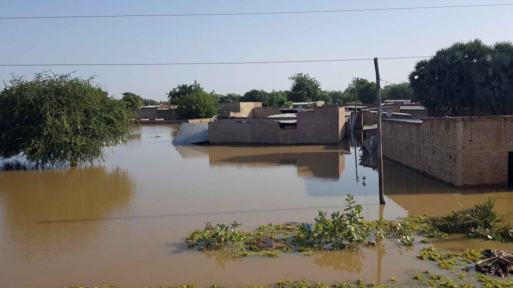 Severe Floods in Northern Chad Claim at Least 54 Lives - DZWatch