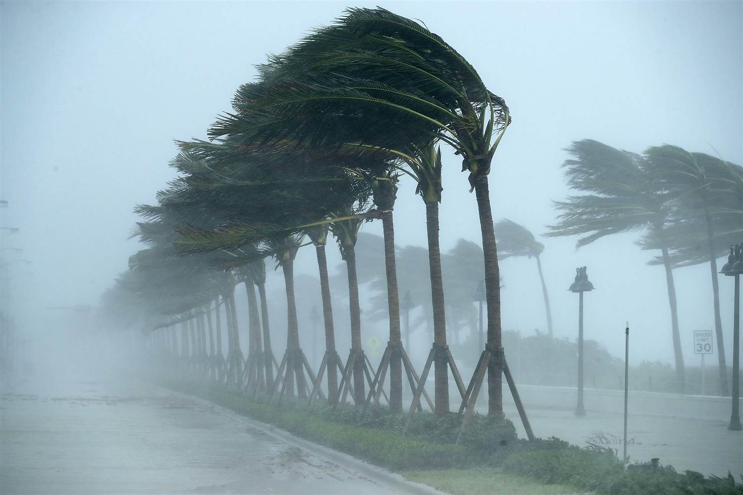 Strong Winds Expected to Sweep Across Several Algerian Provinces - DZWatch