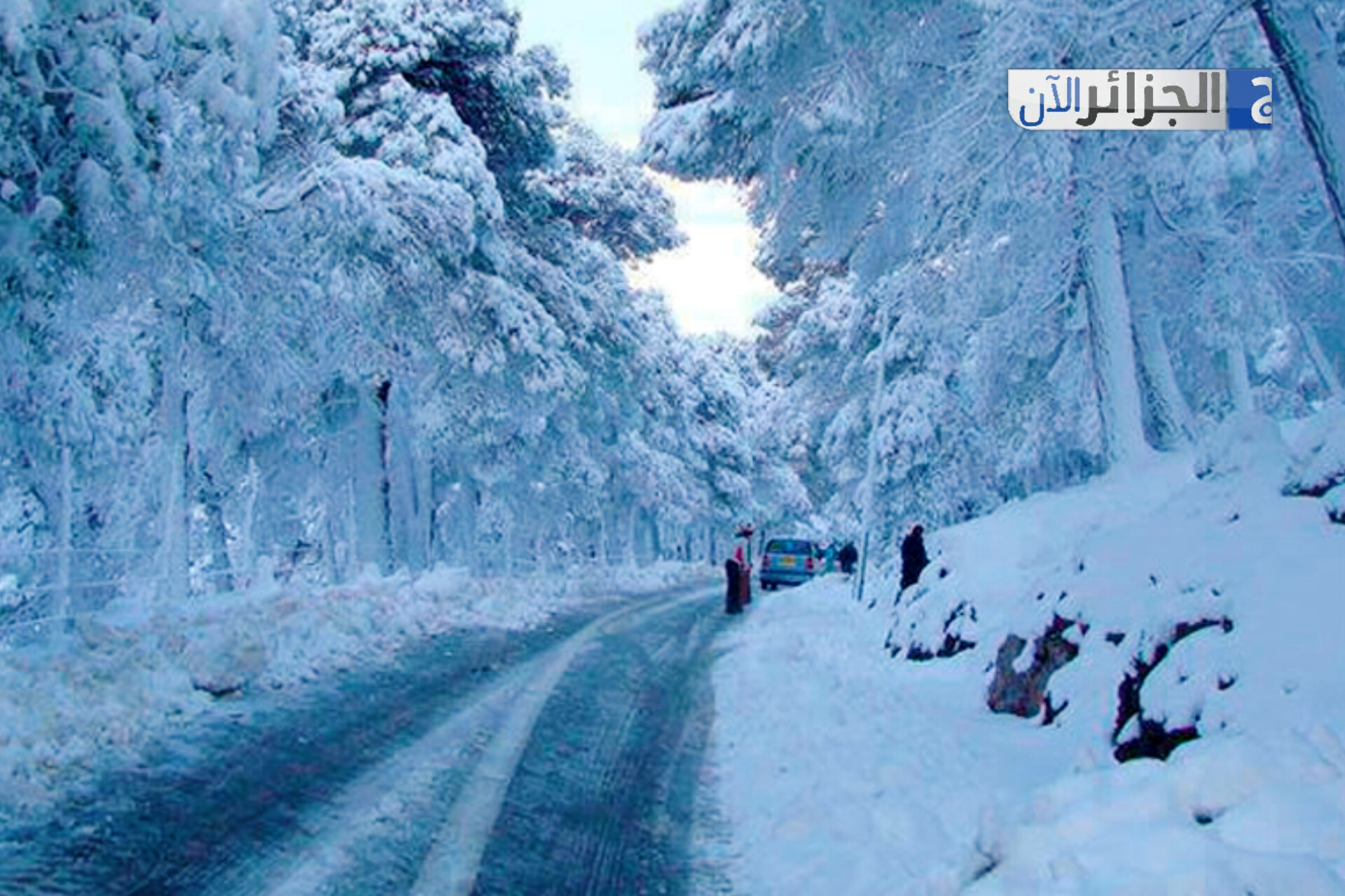 Weather Alert: Snow and Heavy Rain Forecast for Northern Algeria - DZWatch