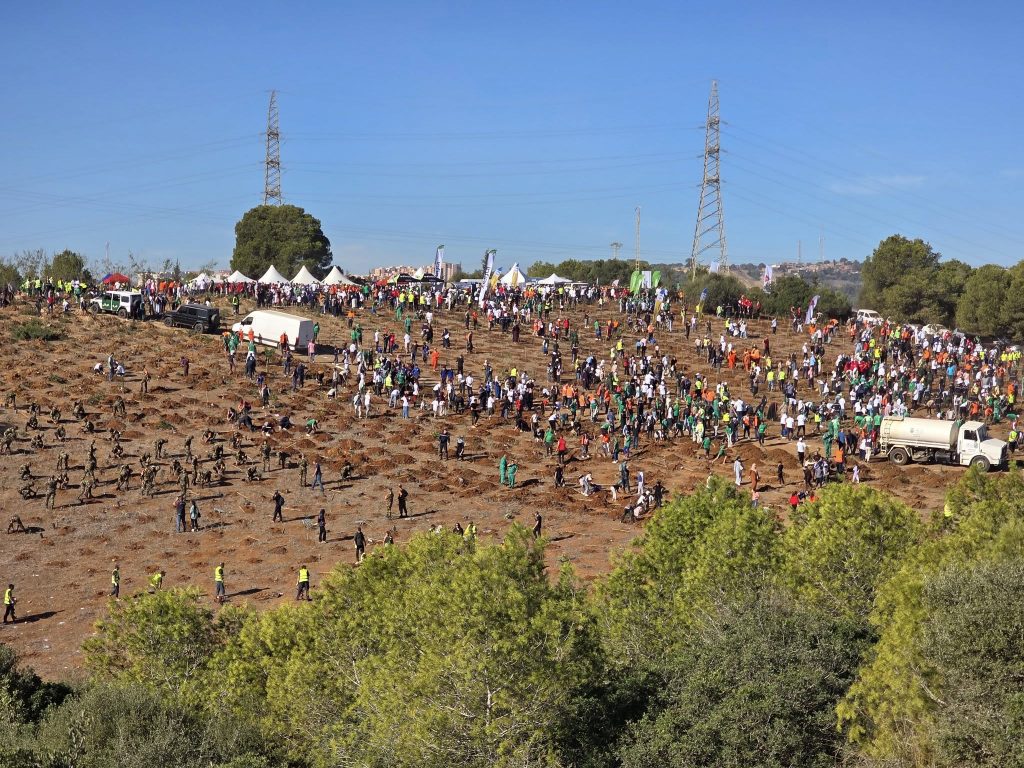 Million Tree Campaign Sparks Unprecedented National Movement - DZWatch