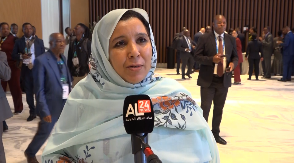 Sahrawi Presence at Luanda Summit Debunks Moroccan Propaganda - DZWatch