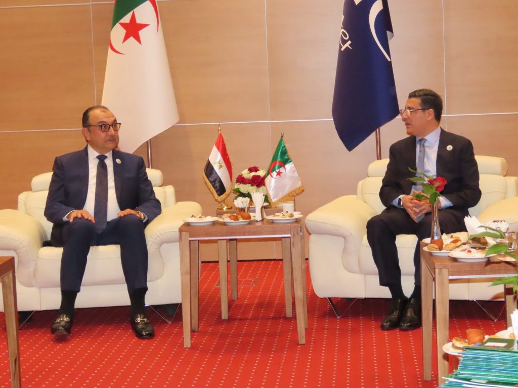 Algeria and Egypt Pledge Joint Effort for Stronger African Healthcare ...