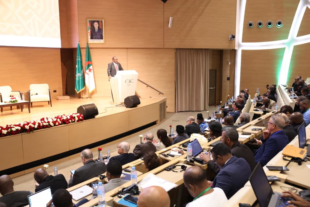 Culture and Education: Key to Combating Colonial Legacy - DZWatch