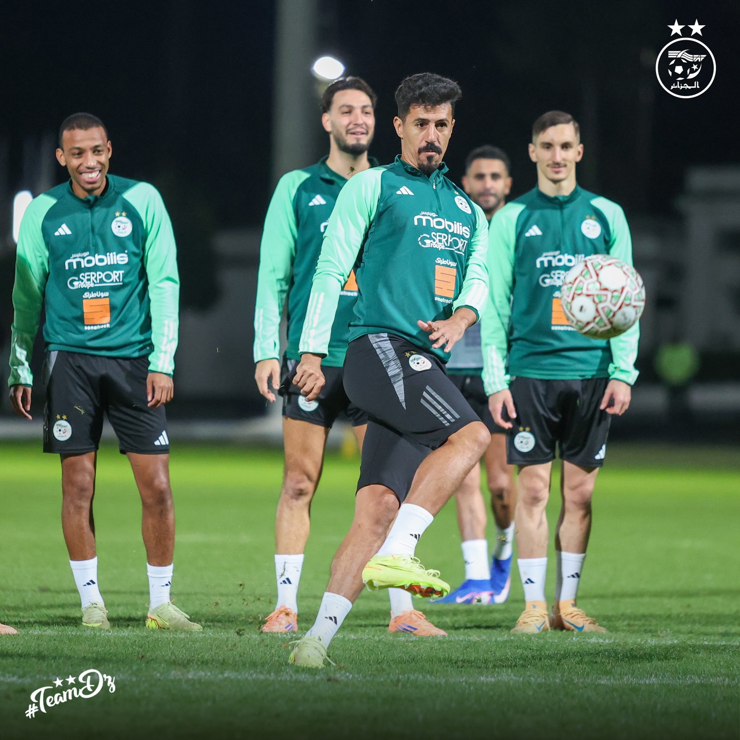Desert Foxes Determined to Conquer AFCON on Moroccan Soil - DZWatch