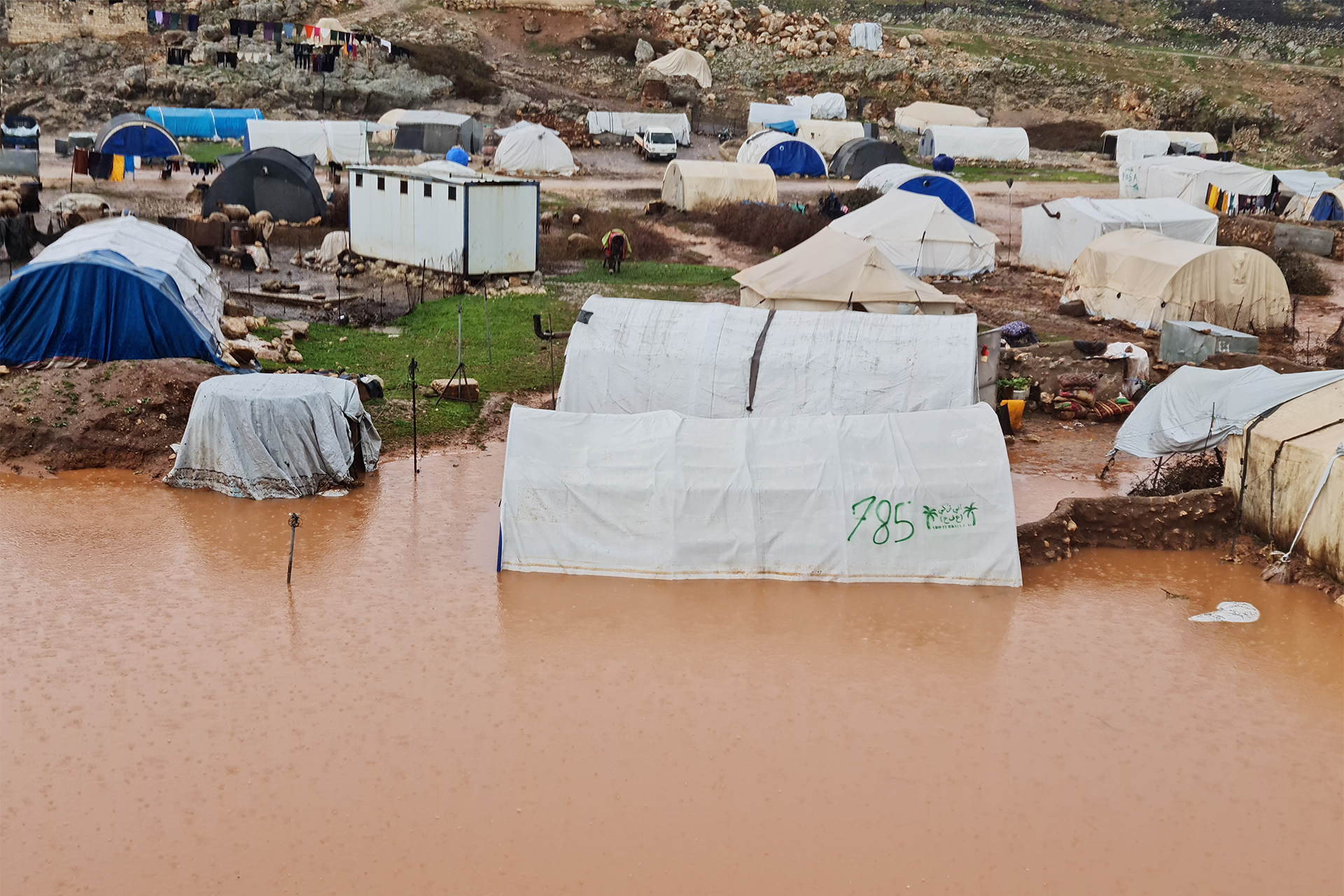 Gaza Braces for Humanitarian Crisis as Storm Approaches - DZWatch