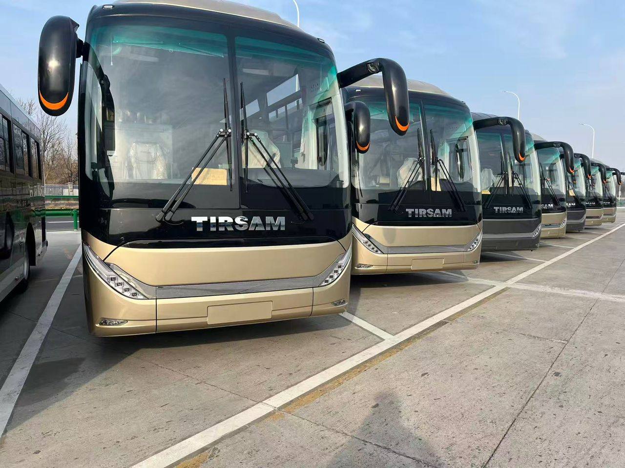 Tirsam Ships 1,000 New Buses to Boost Public Transportation - DZWatch