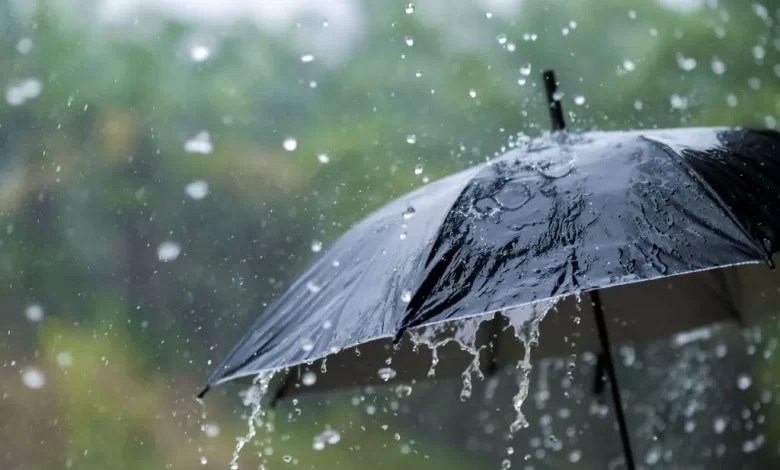 Heavy Rainfall and Strong Winds Forecast for Several Algerian Provinces ...