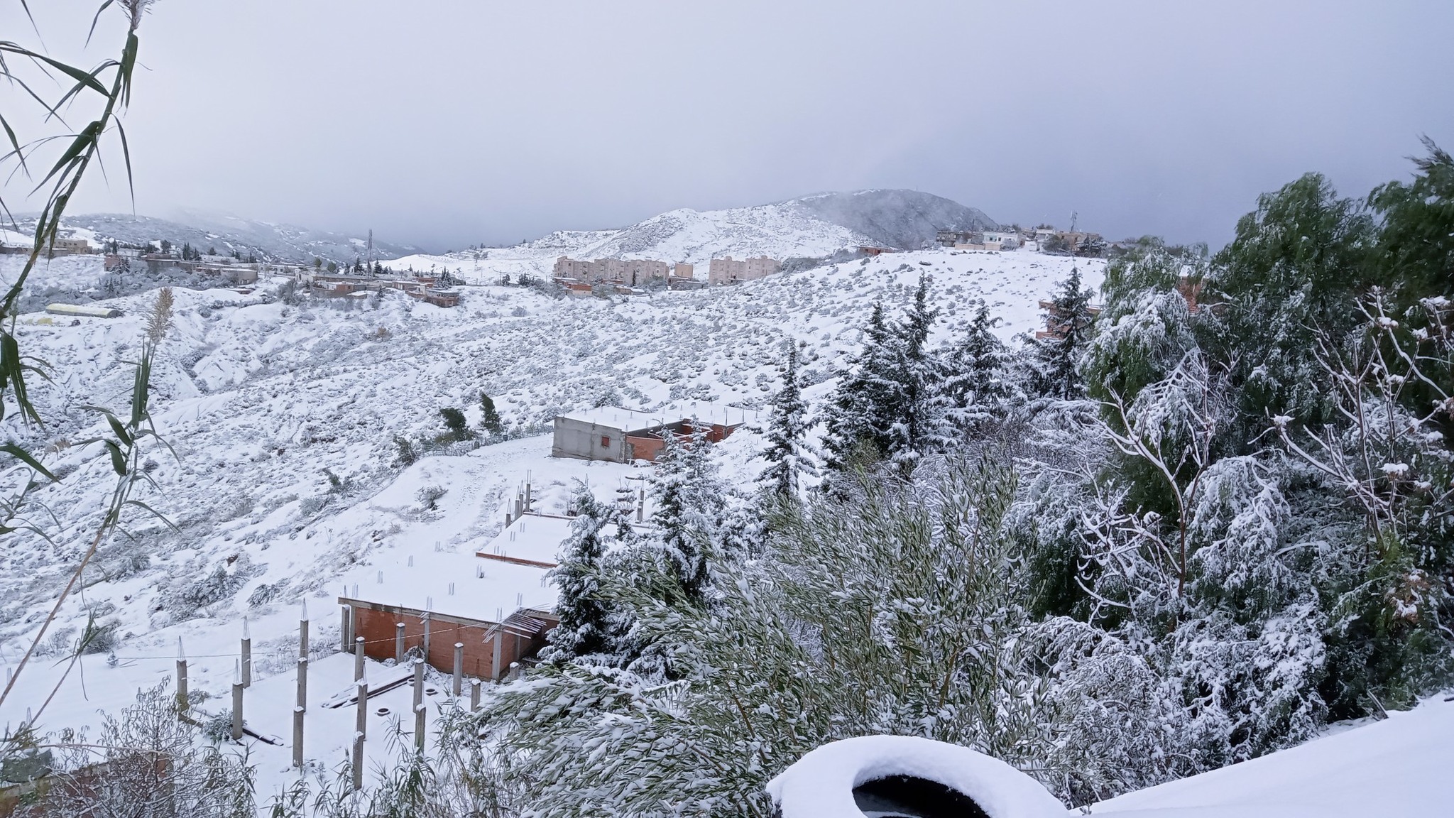 National Math Olympiad Kicks Off Third Edition - DZWatch