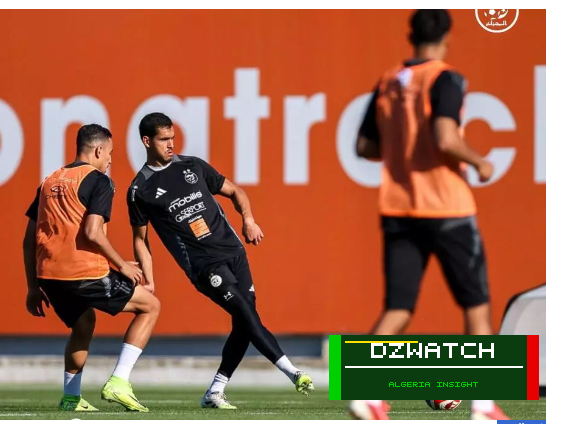 Algeria Intensifies 2026 World Cup Preparations with Focused Training ...